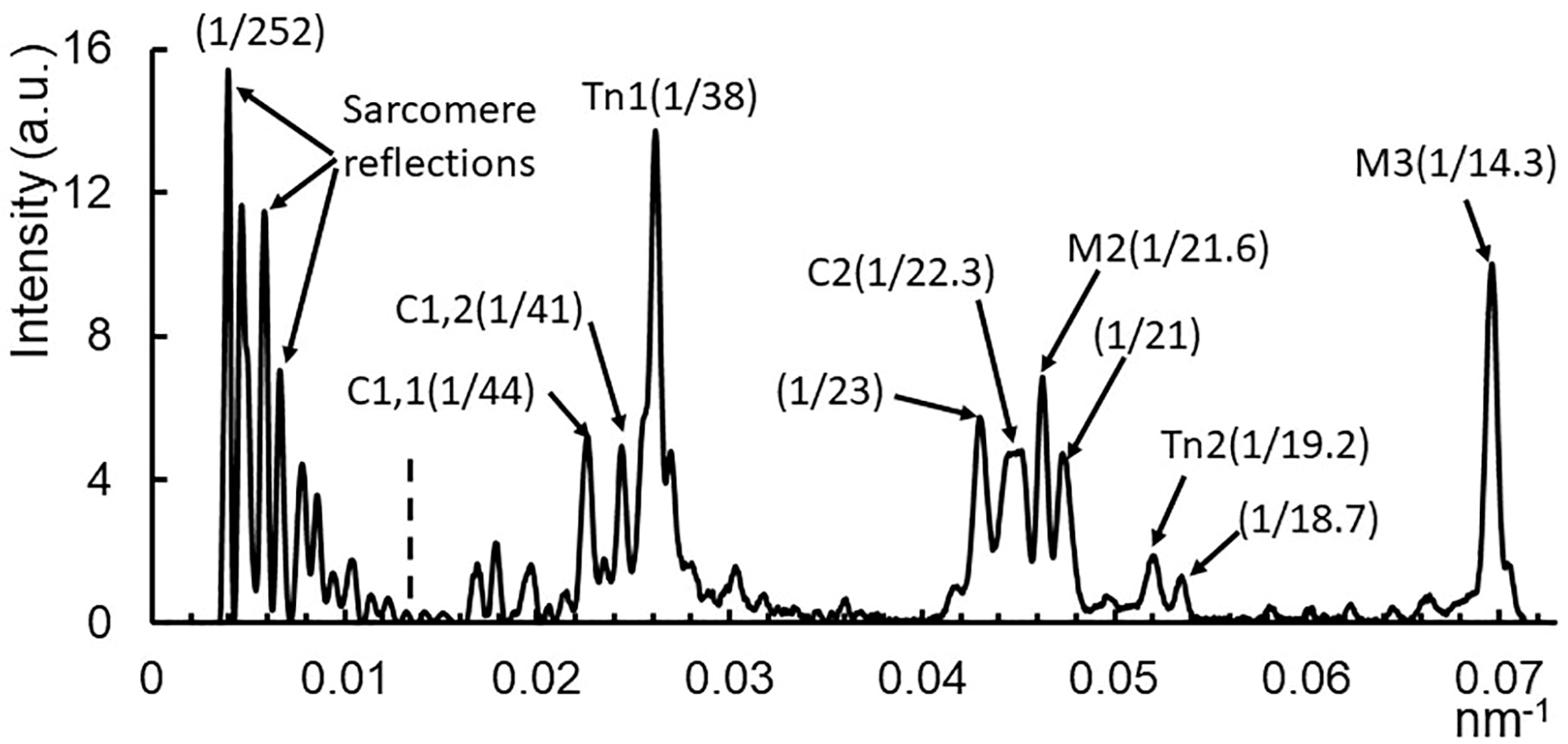 reciprocal-spacing – MuscleX Lab
